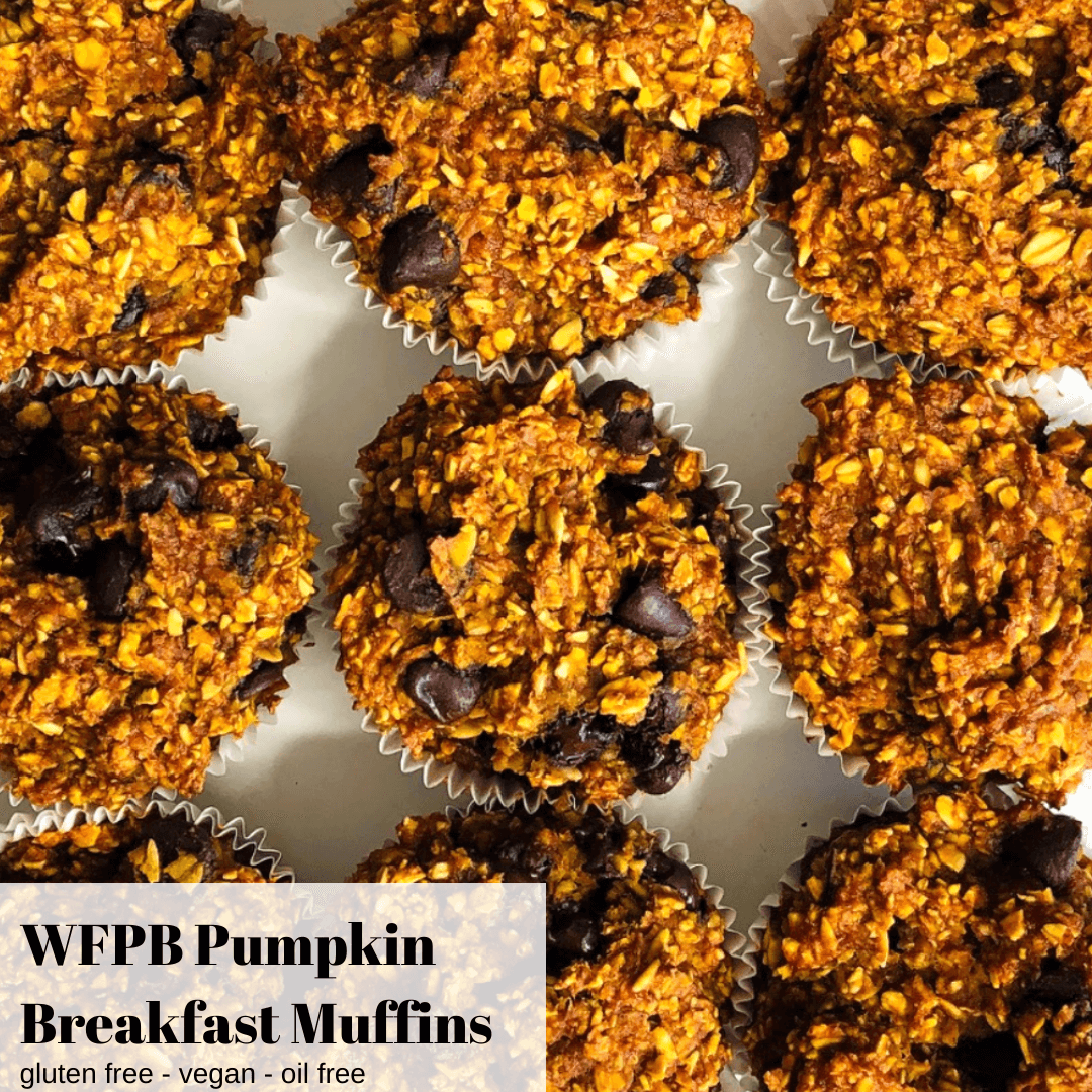 Fall Plant-Based Recipe Round Up! - PlantYou