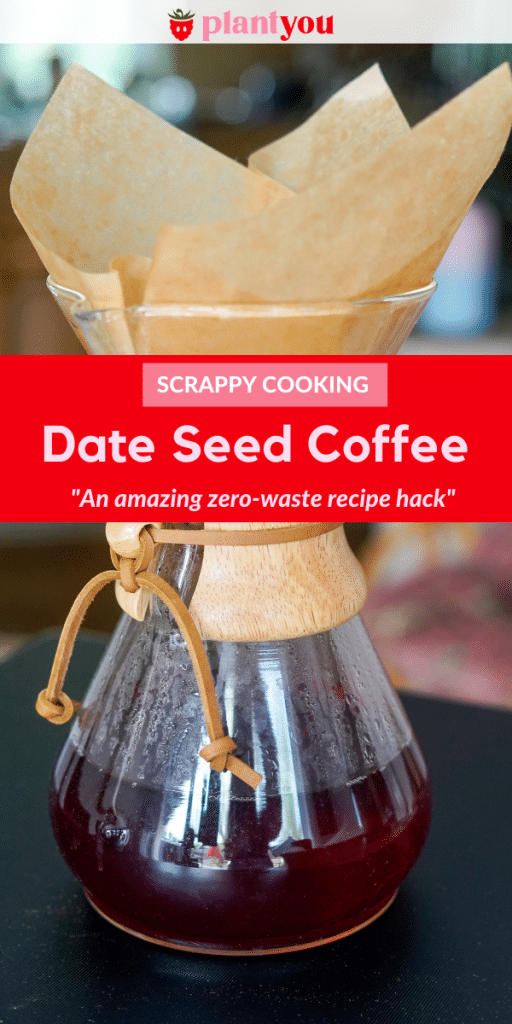 Date Seed Coffee - PlantYou