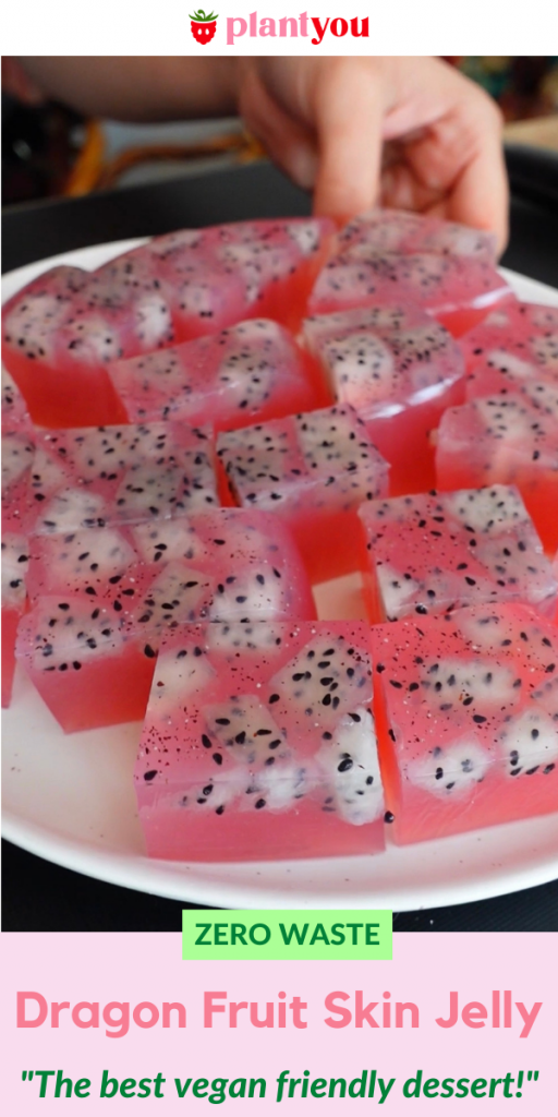 Dragon Fruit Skin Jelly - PlantYou