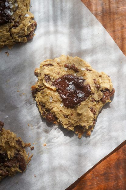Vegan Oat Pulp Cookies - PlantYou