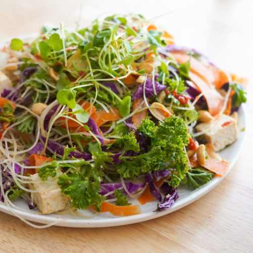 Deconstructed Spring Roll Salad - PlantYou