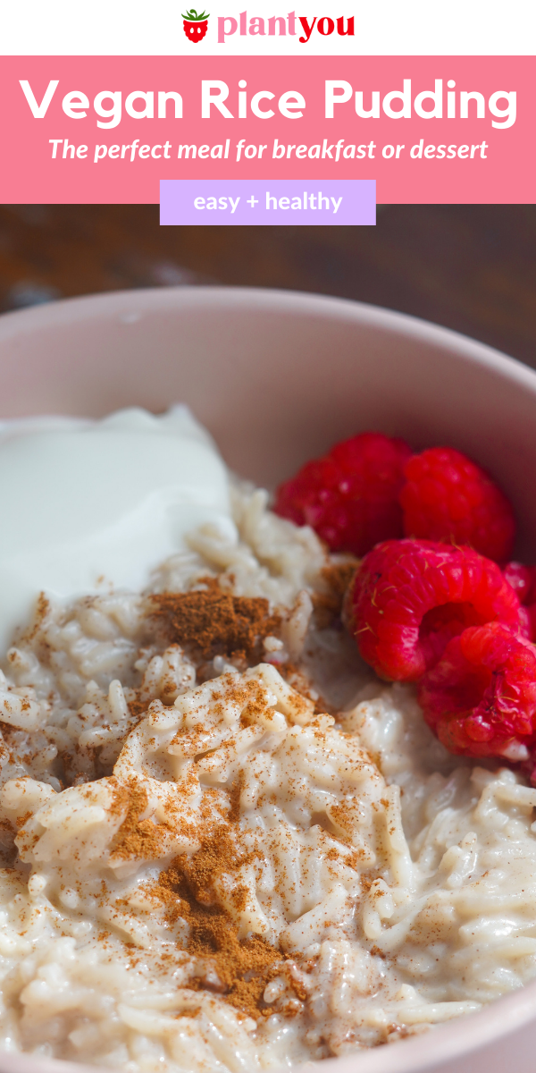 Vegan Rice Pudding - PlantYou