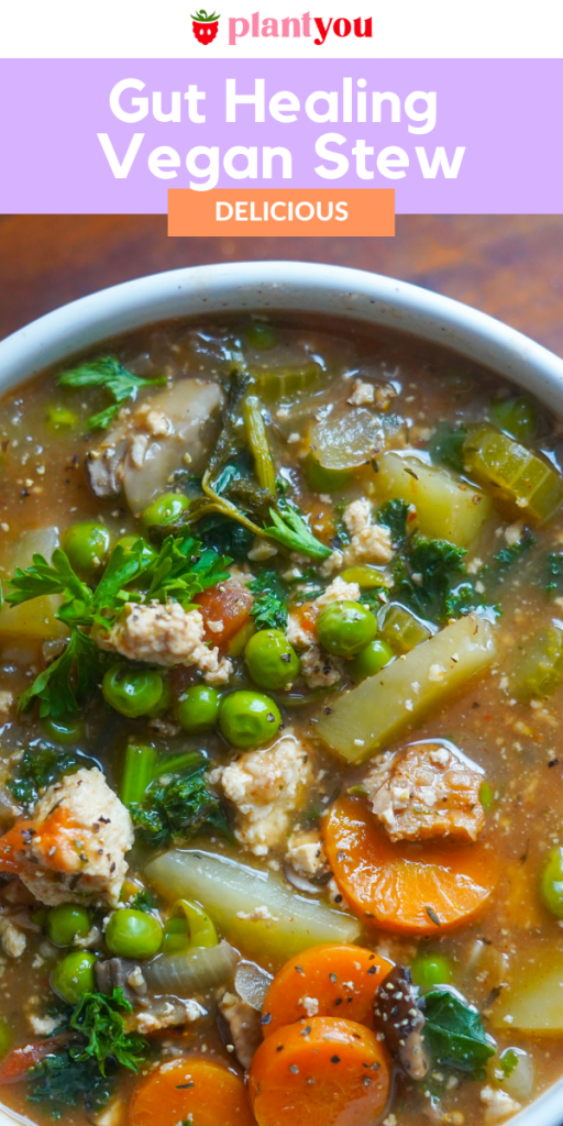 Gut Healing Vegan Stew - PlantYou