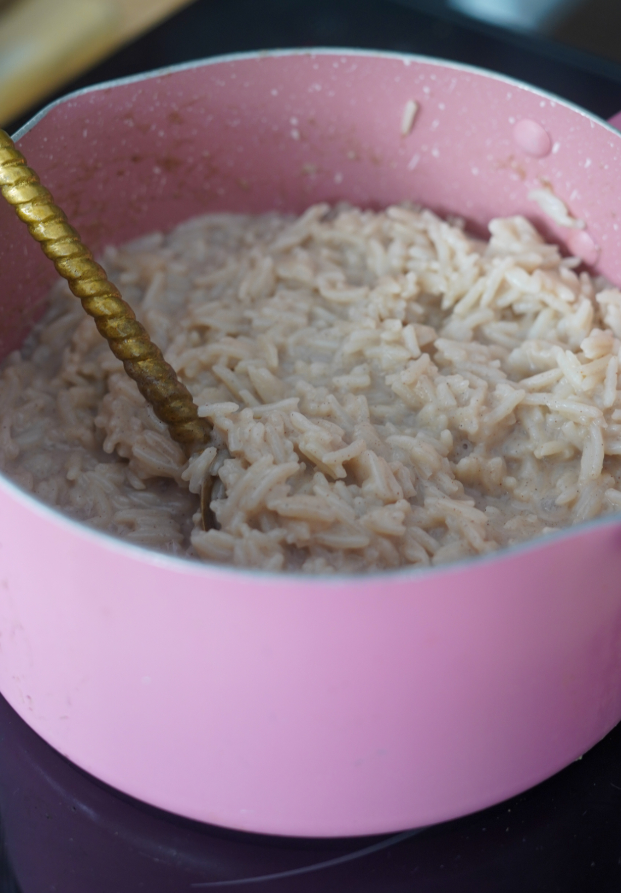 Vegan Rice Pudding - PlantYou