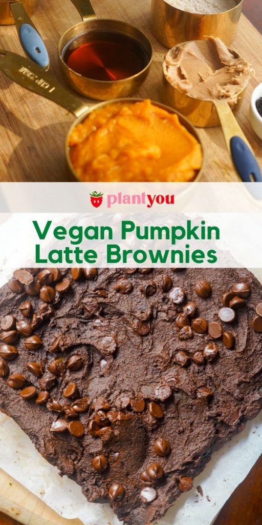 Vegan Pumpkin Latte Brownies - PlantYou