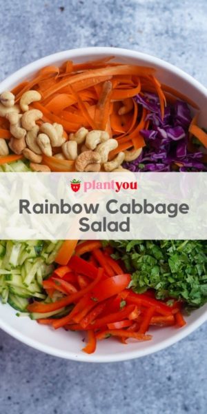 Rainbow Cabbage Salad - PlantYou