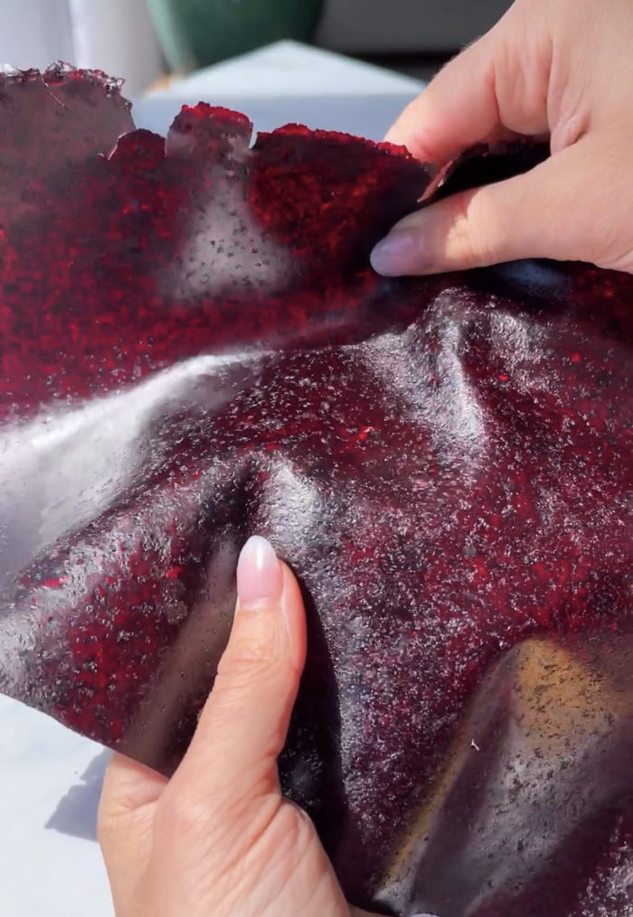 Blueberry Fruit Leather - PlantYou