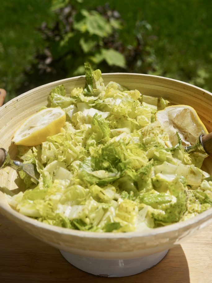 PlantYou - Page 19 of 67 - Plant-based made easy!