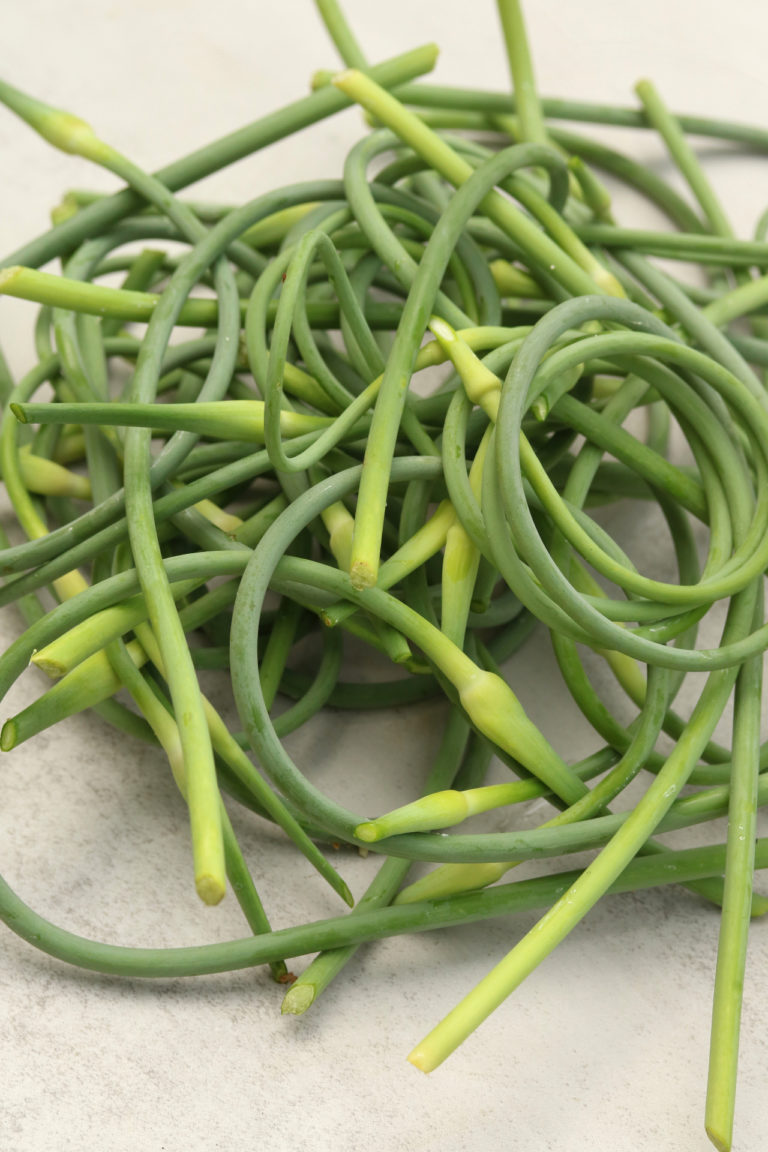 Pickled Garlic Scapes - PlantYou