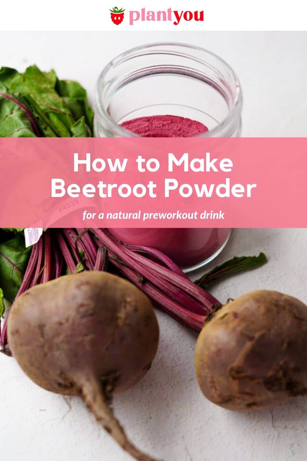 How To Make Beetroot Powder - PlantYou