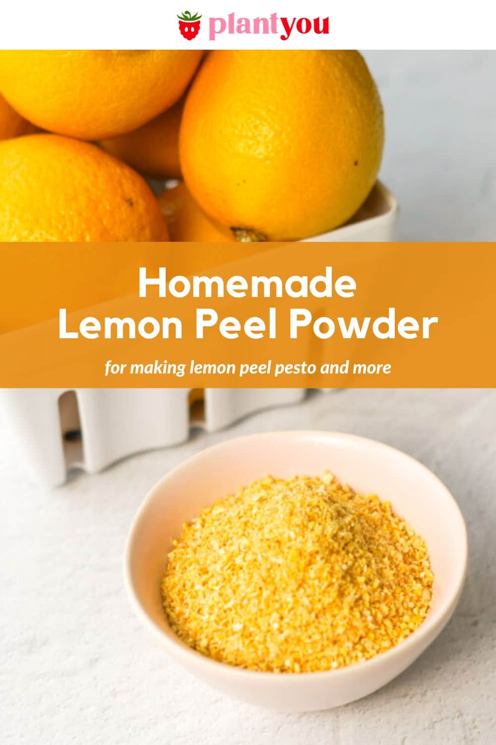 Lemon Peel Powder and Lemon Salt - PlantYou