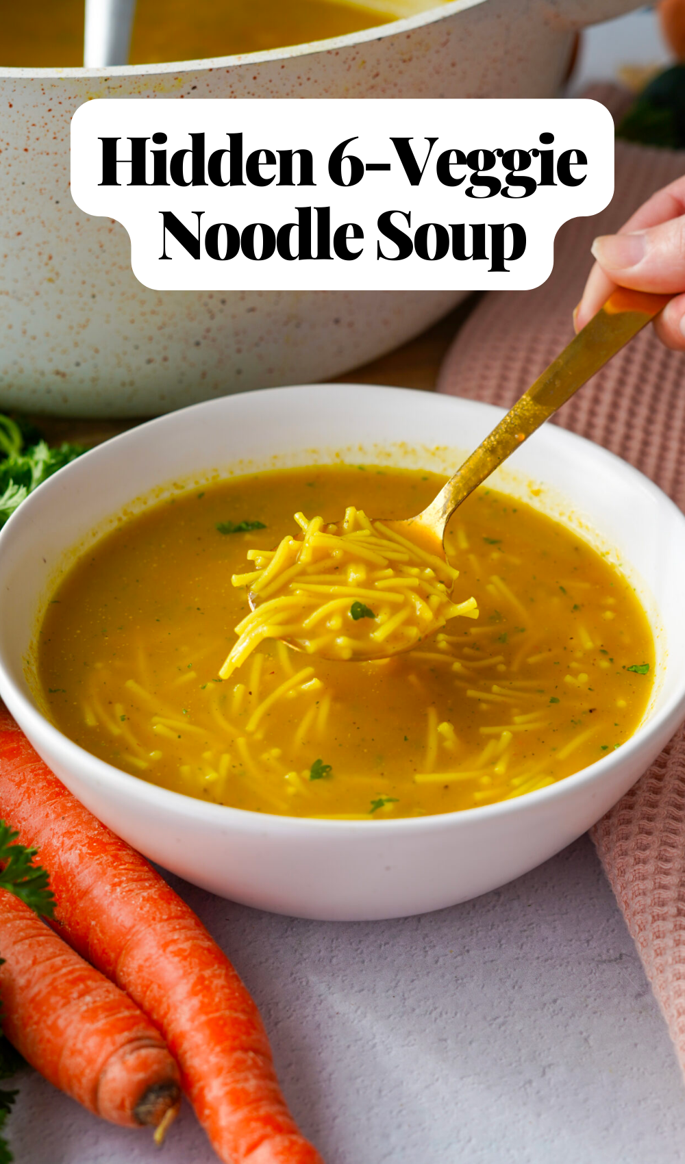 Hidden Veggie Soup - PlantYou