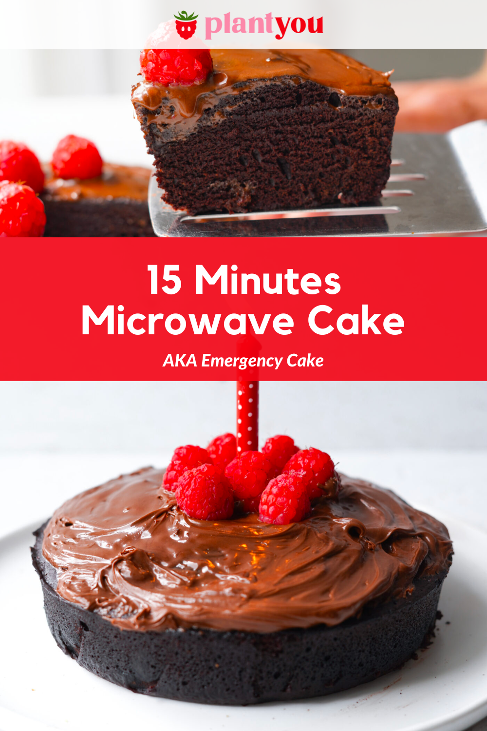 Microwave Cake (AKA Emergency Cake) - PlantYou