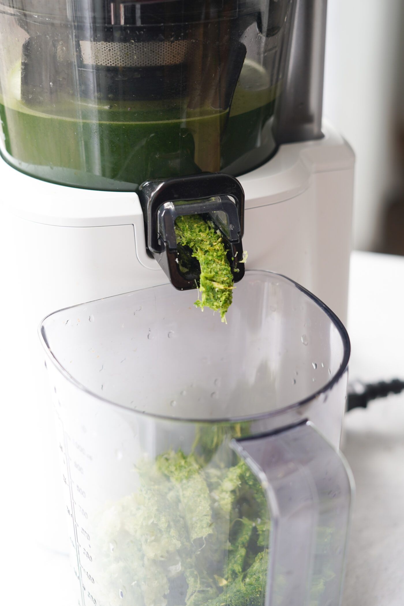 Homemade Greens Powder - PlantYou