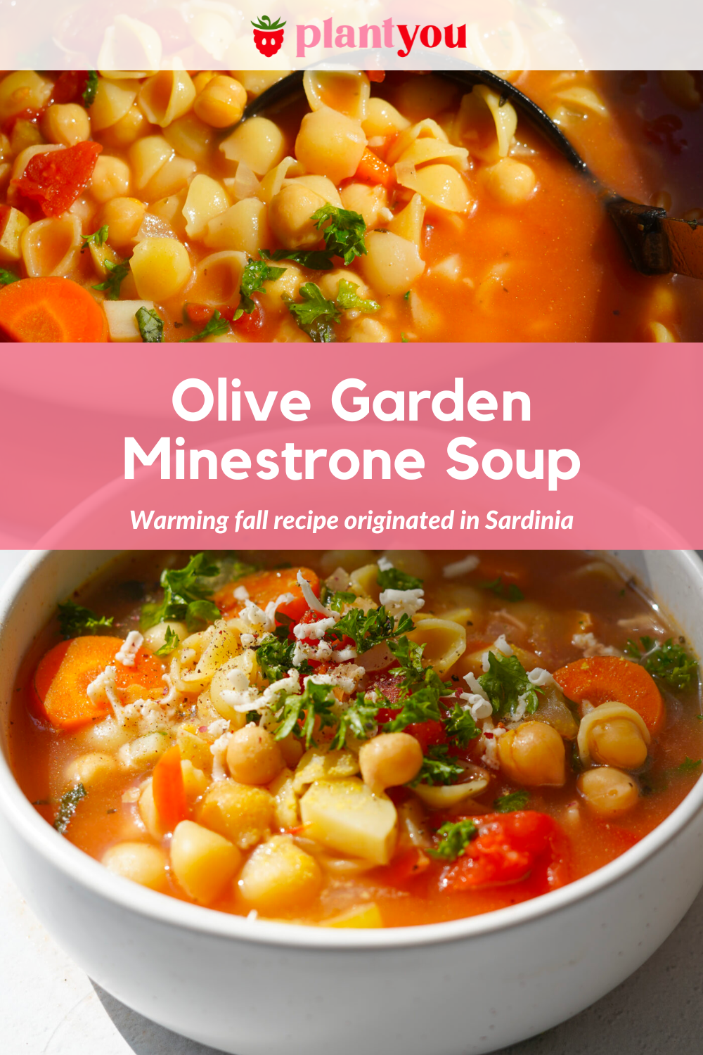 Olive Garden Minestrone Soup - PlantYou