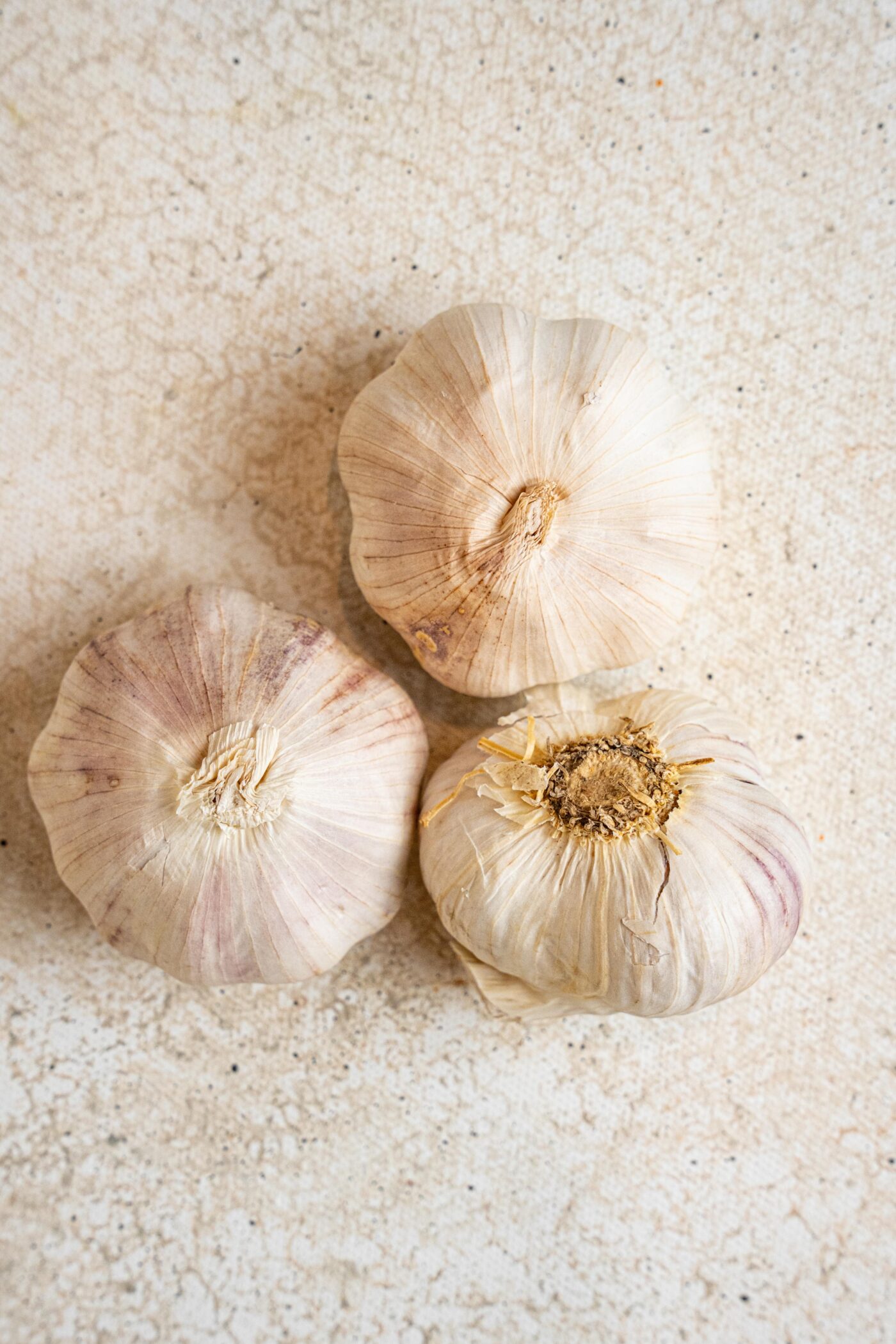 30 Clove Garlic Soup - PlantYou