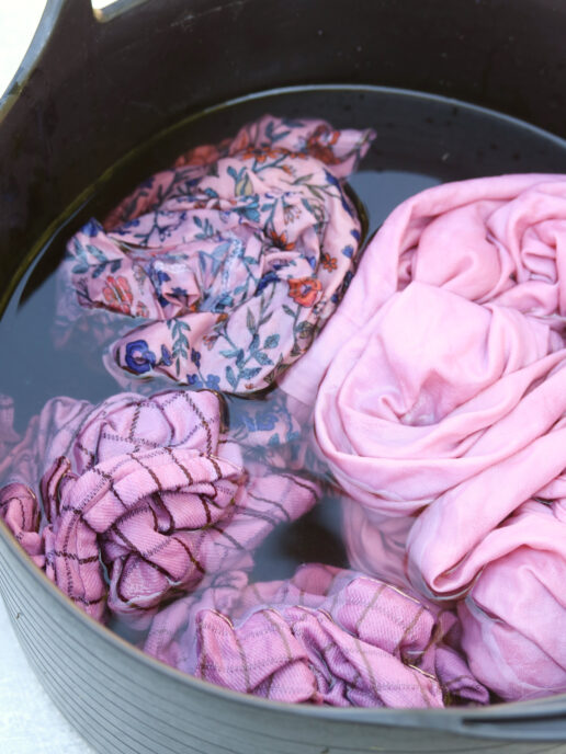 Plant Based Lifestyle - PlantYou