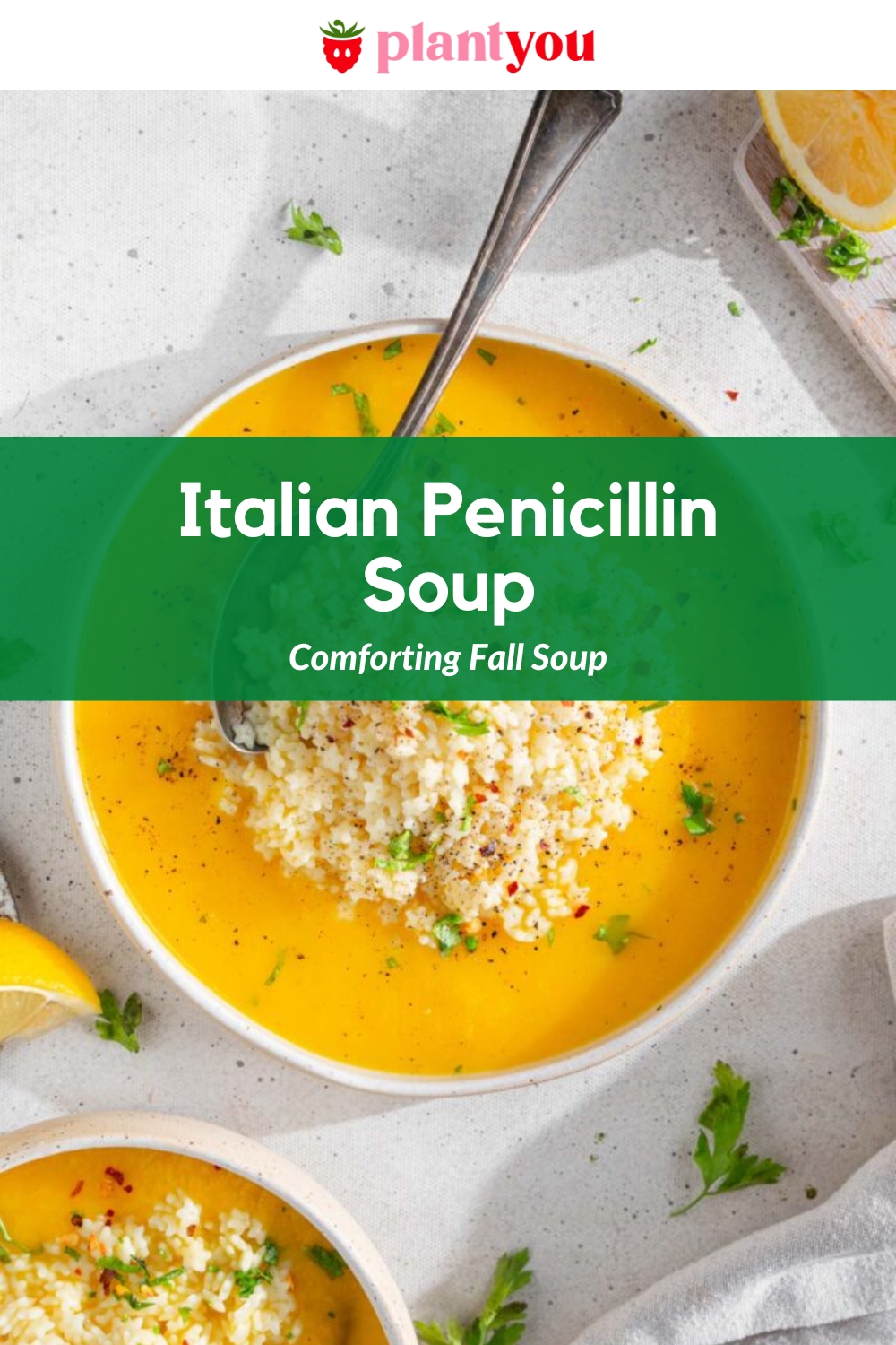 Italian Penicillin Soup - PlantYou