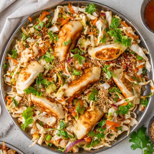 Dumpling Salad - PlantYou