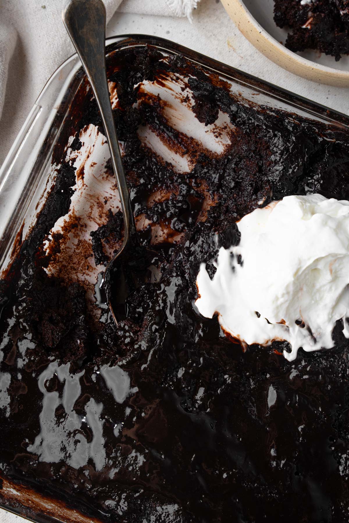 Pudding Cake - PlantYou