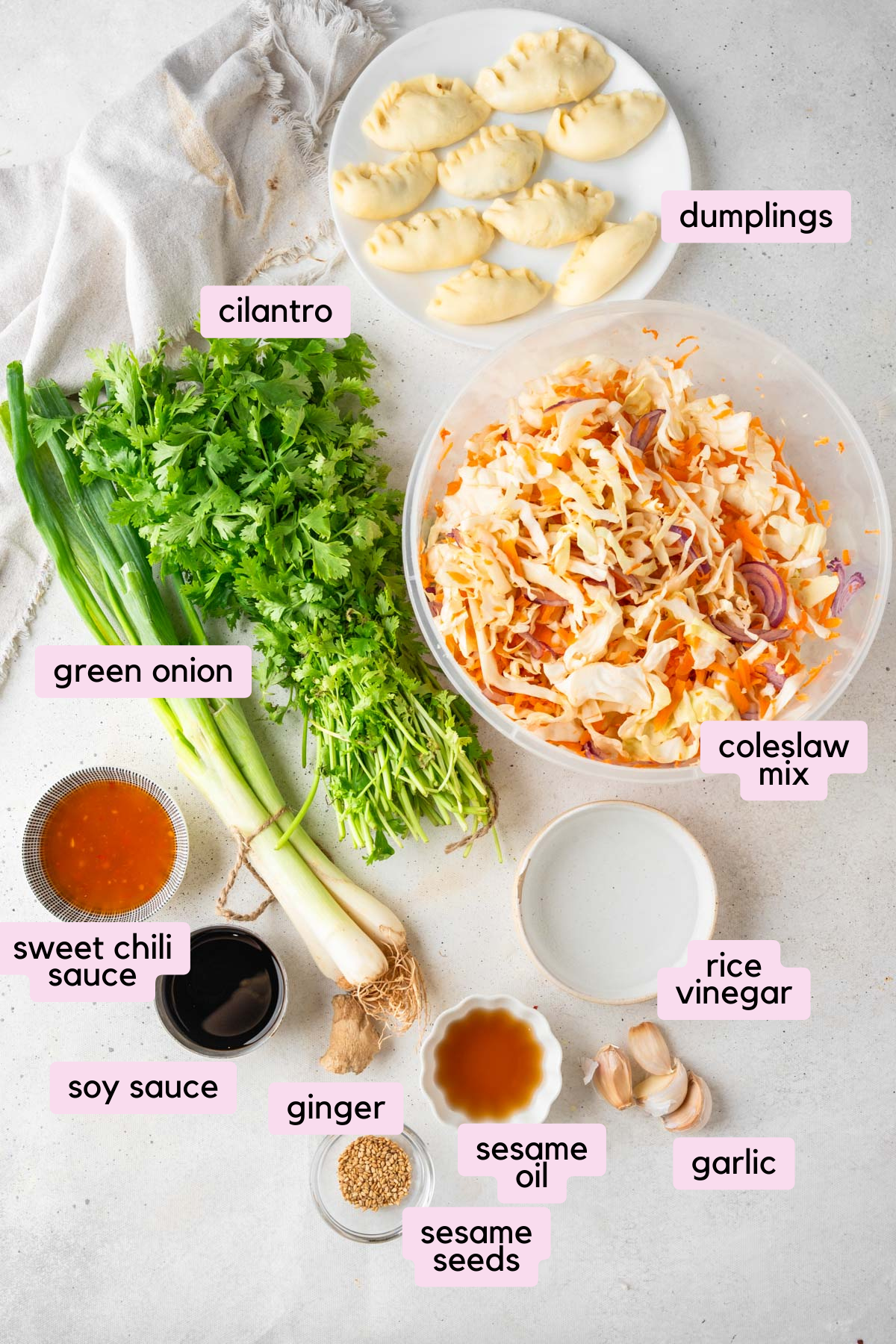Dumpling Salad - PlantYou
