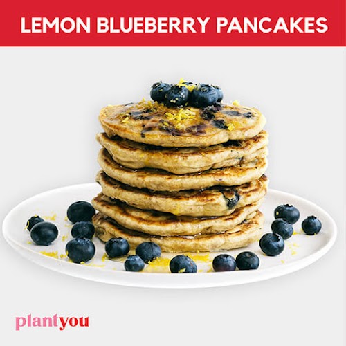 PlantYou Cookbooks - PlantYou