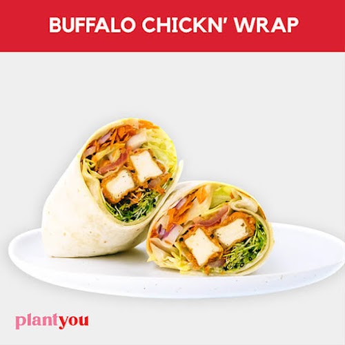 PlantYou Cookbooks - PlantYou