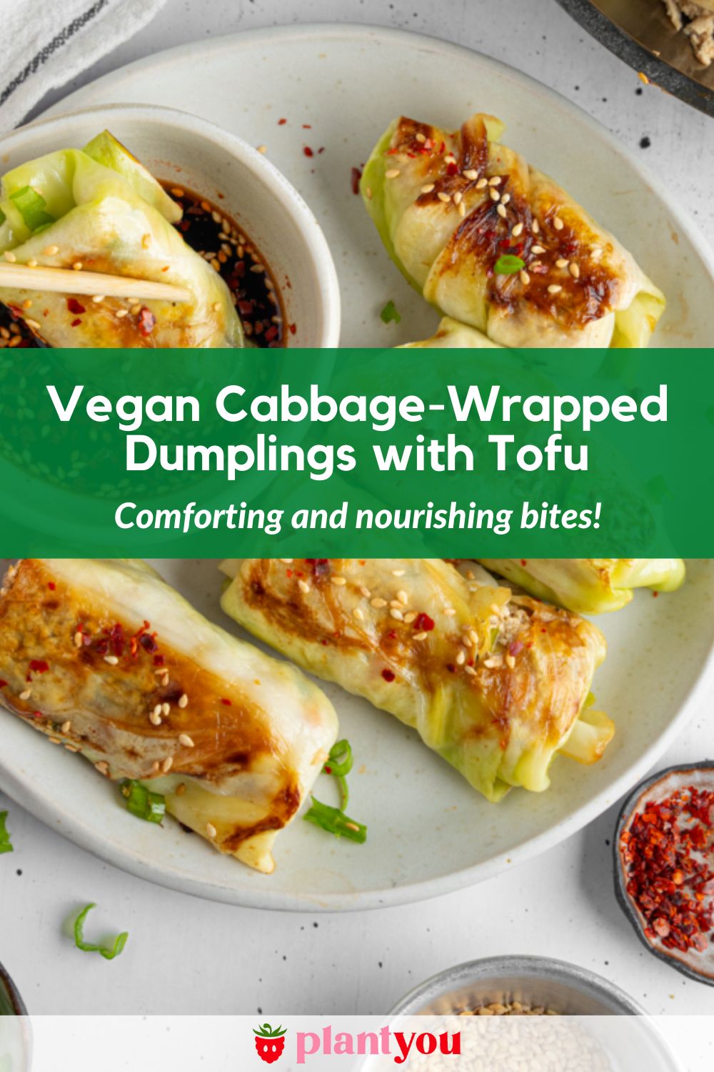 Vegan Cabbage-Wrapped Dumplings with Tofu - PlantYou