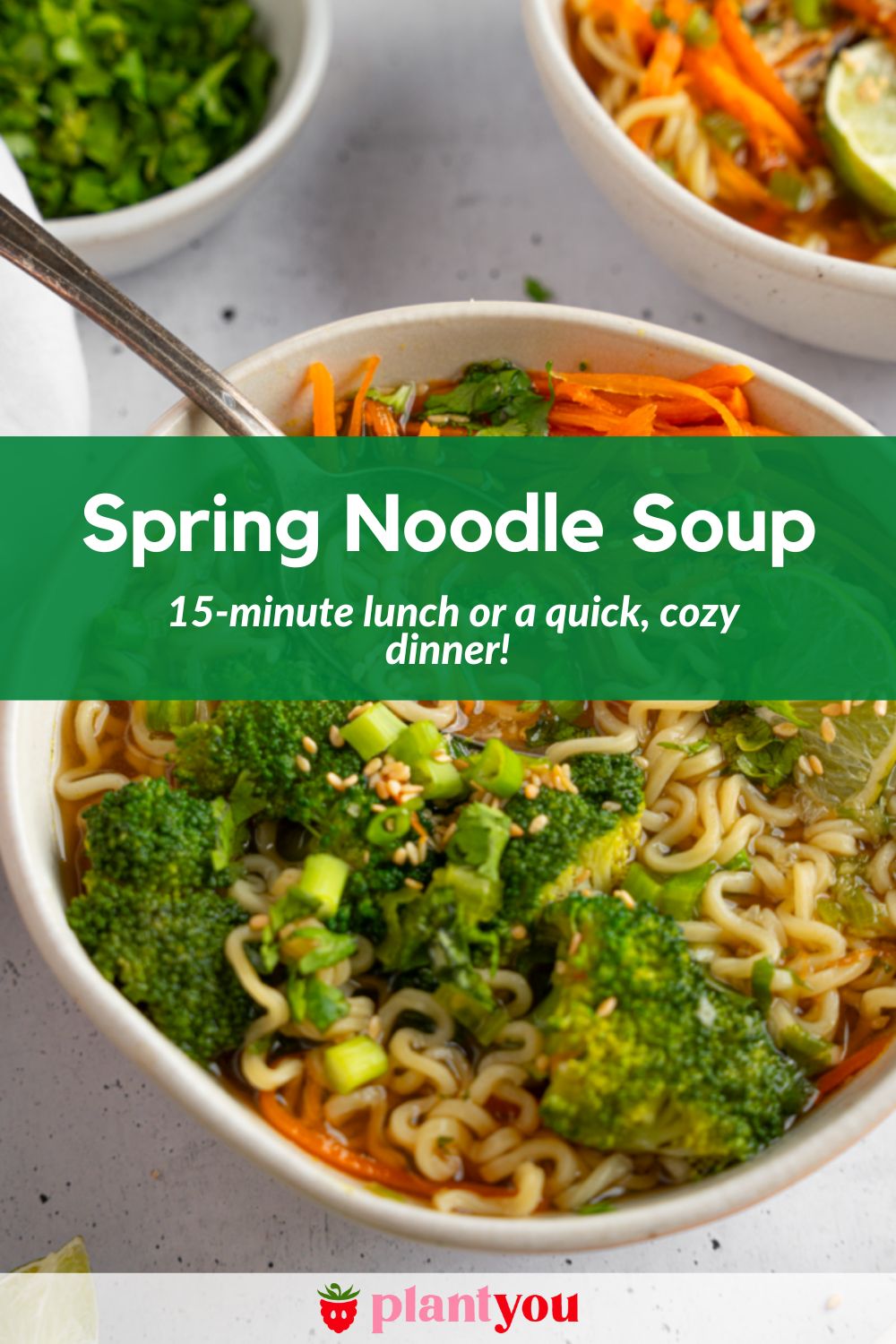 Spring Noodle Soup - PlantYou