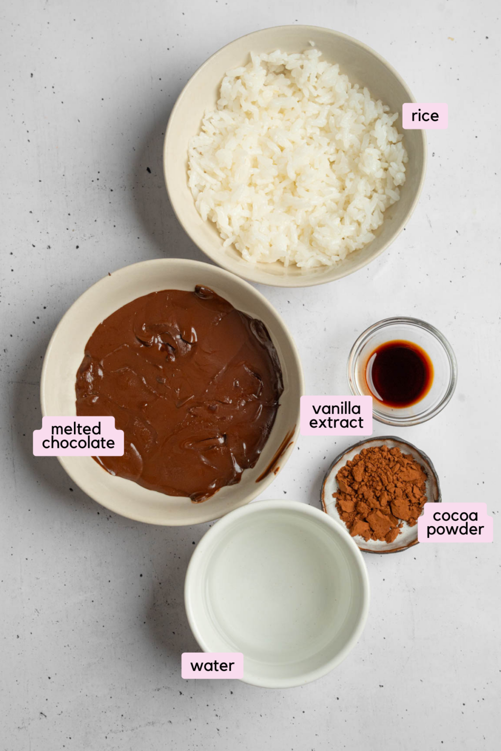 Rice Chocolate Mousse - PlantYou
