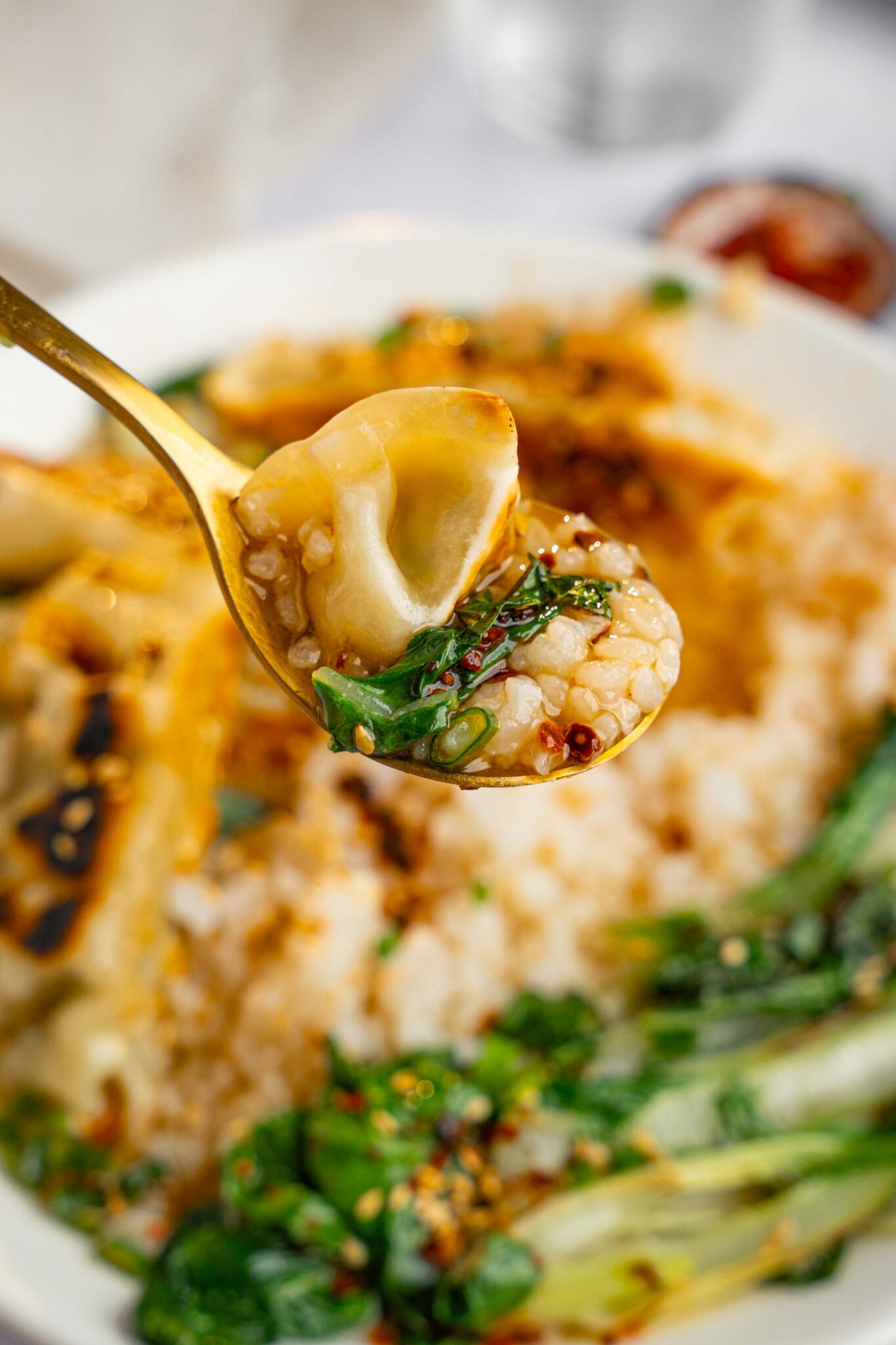 Brothy Rice with Ginger and Garlic - PlantYou