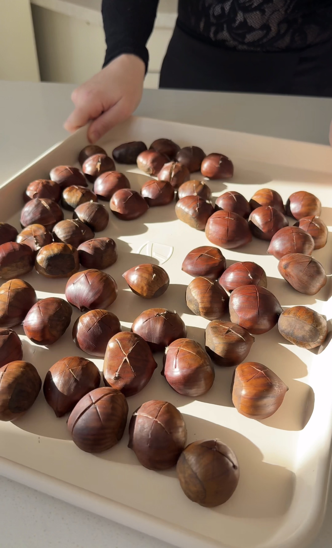 Oven Roasted Chestnuts - PlantYou